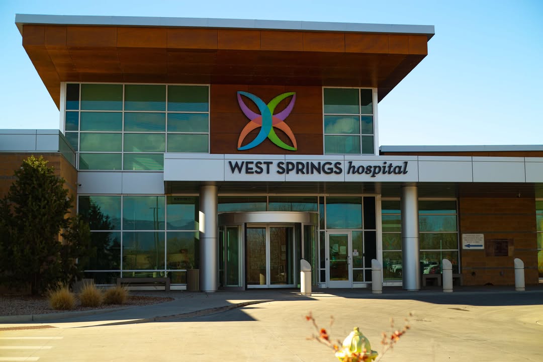 Many Question Mindsprings ICE Deal – The Revolutionist